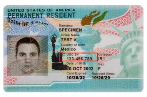 Understanding A-Numbers: Guide to the Alien Registration Number ...